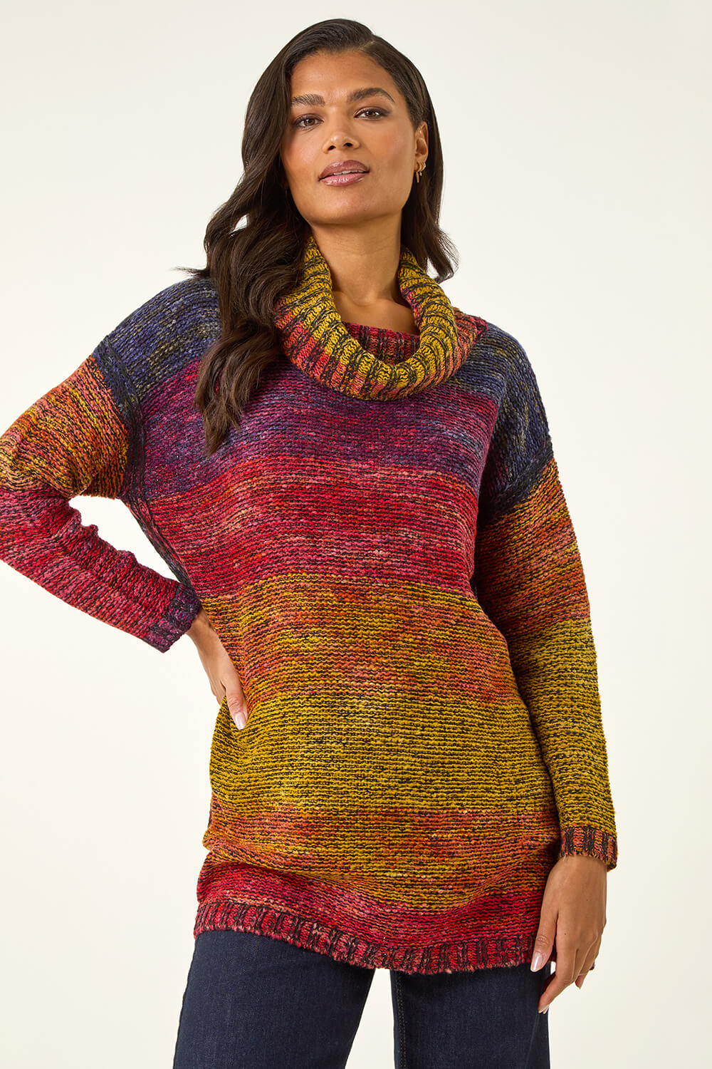Roll Neck Chunky Knit Jumper in Multi - Roman Originals UK